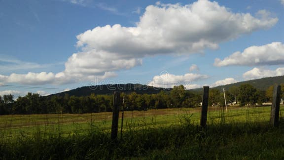 Stephi& x27;Eyez stock image. Image of hope, stephieyez - 133070919