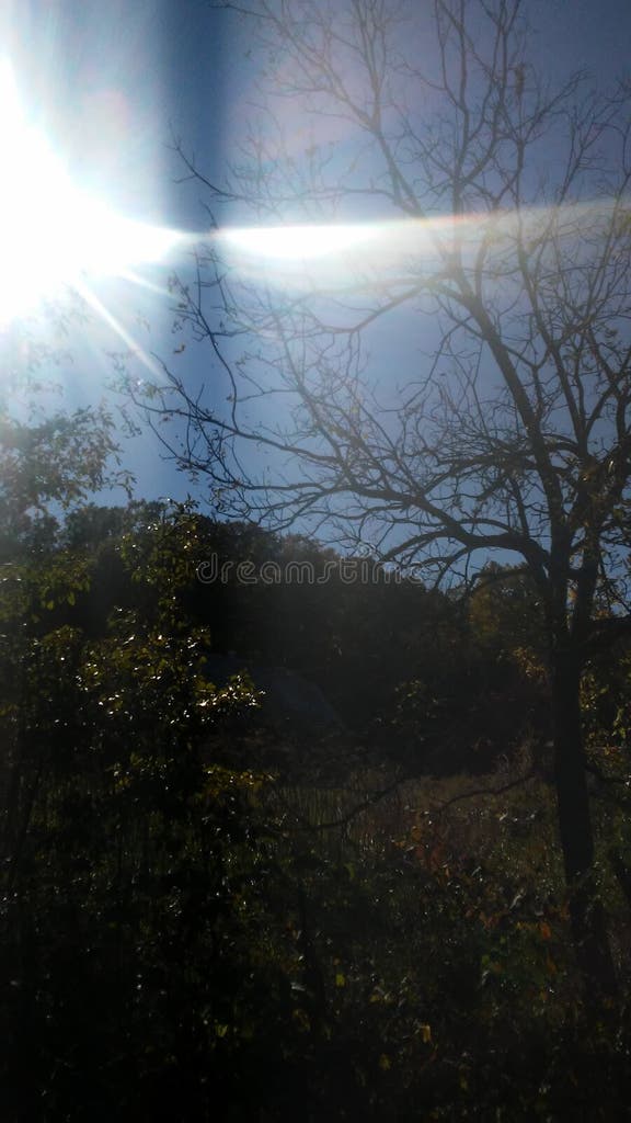 Stephi& x27;Eyez stock image. Image of stephieyez - 133191273