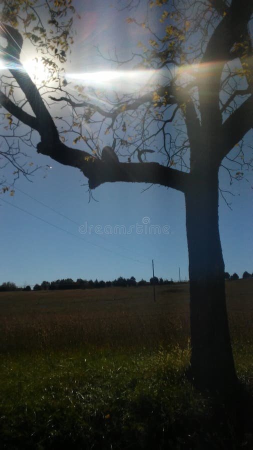 Stephi& x27;Eyez stock photo. Image of light, hope - 133191334