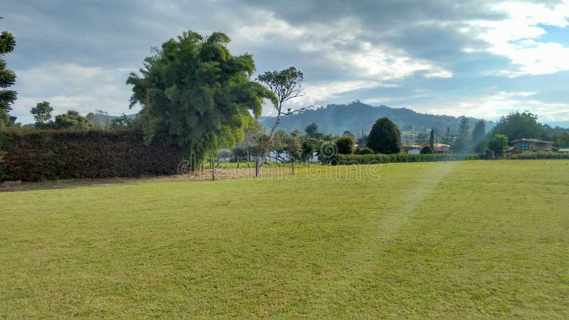 Ray of light stock image. Image of trees, landscape, nature - 89477579
