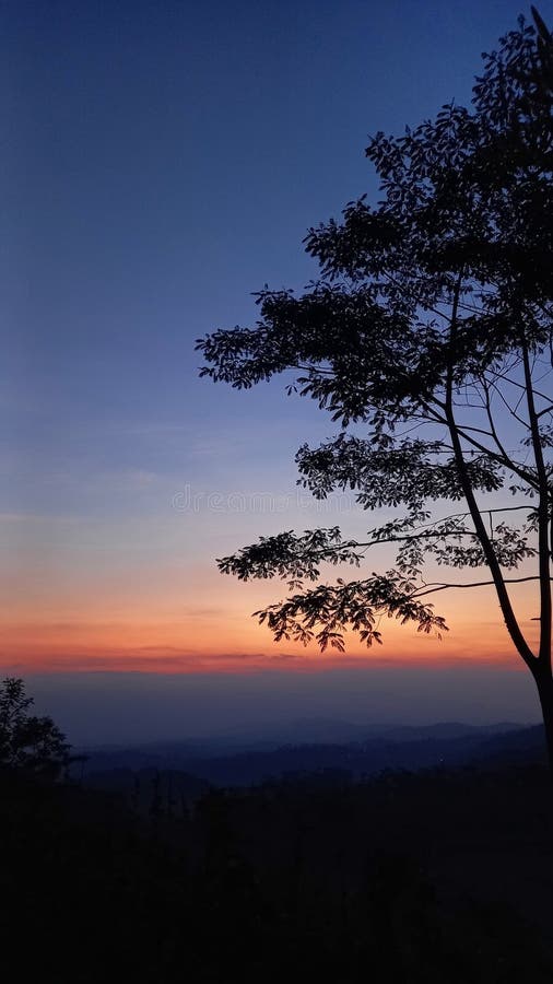 A Ray of Light at Sunset with Beautiful Silhouette of Tree Stock Image ...