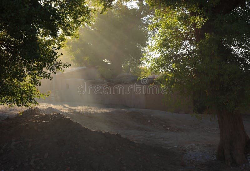 Ray of morning sunlight stock photo. Image of penetrate - 11464110