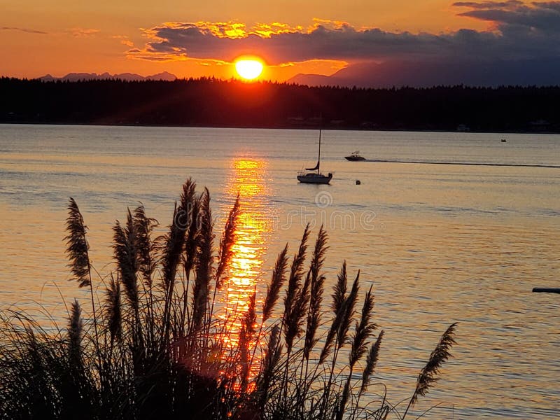 Ray of Sun on Henderson Bay Washington Stock Photo - Image of sunset ...