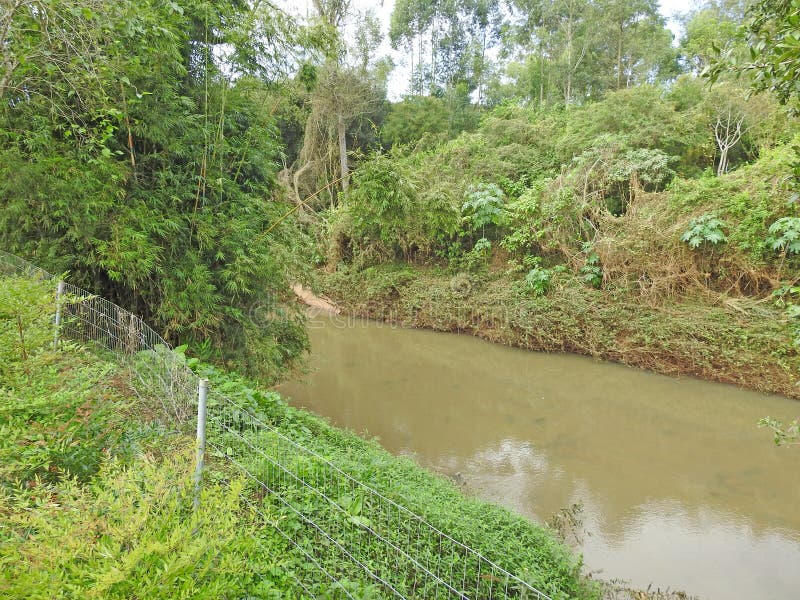 Ray Zero Hartz imagen de archivo. Imagen de almuerzo - 116024031