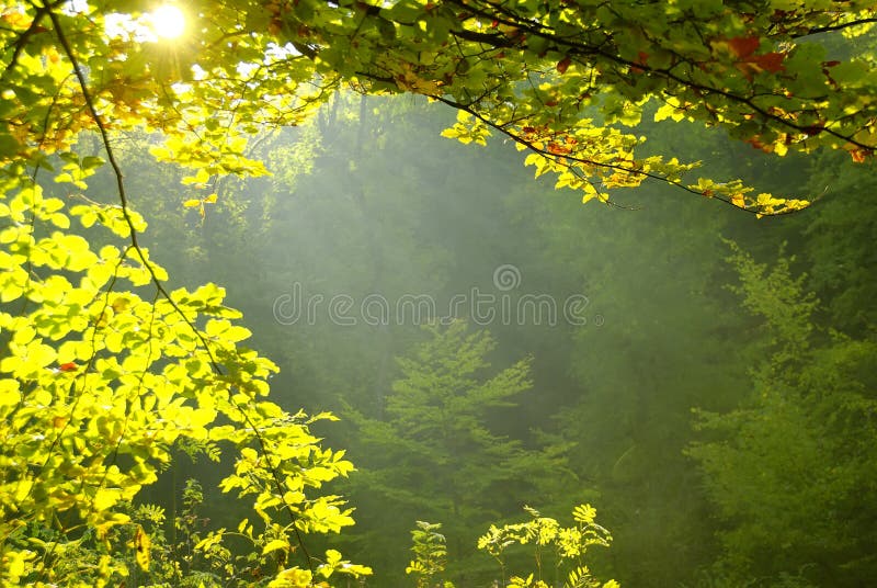 Rayo de la luz foto de archivo. Imagen de resorte, serenidad - 13938820