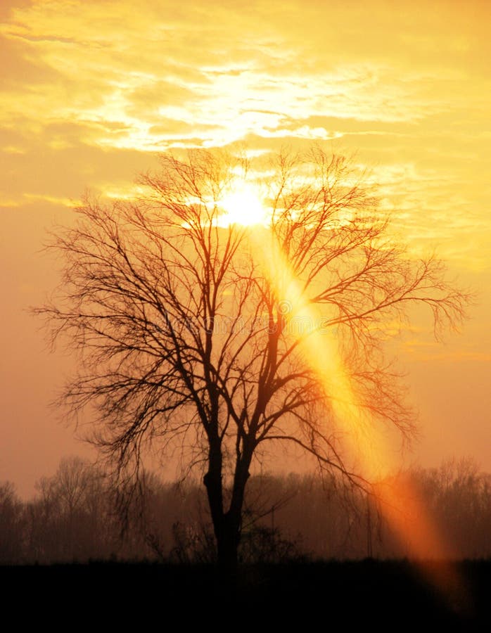 Rayo de la luz imagen de archivo. Imagen de sunlight, viga - 8138767