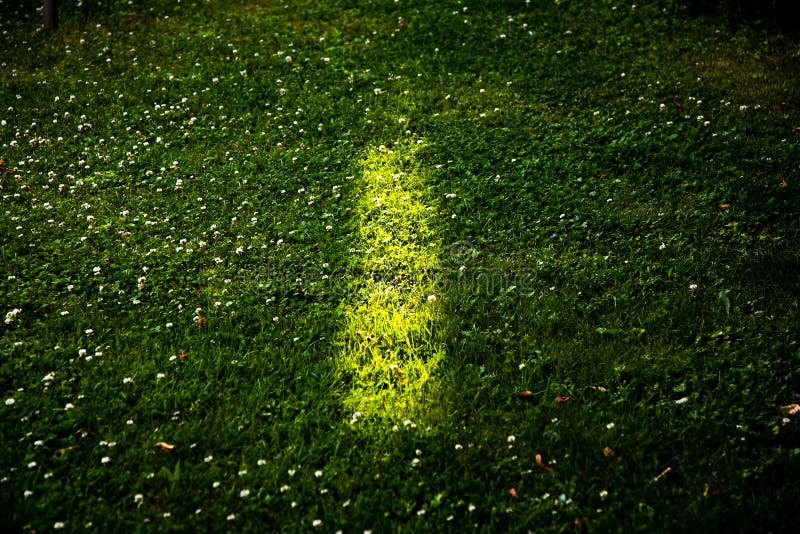 Rayo solar en hierba imagen de archivo. Imagen de crecimiento - 37114037