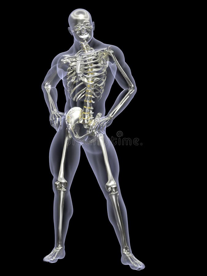 Rayon X De Squelette D'argent Et D'or Illustration Stock - Illustration ...