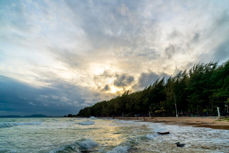 Rayong beach in thailand stock photo. Image of tree - 153636646