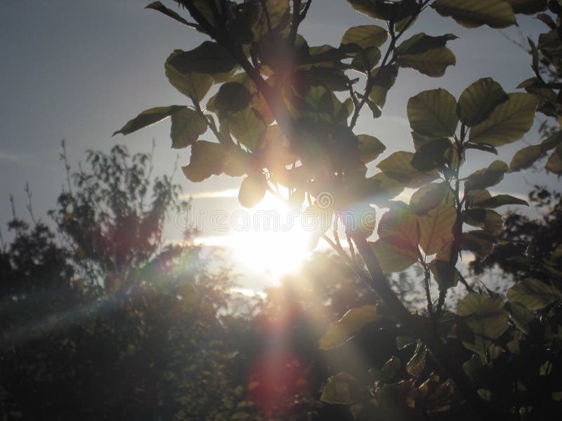 Rayos solares hermosos imagen de archivo. Imagen de sunlight - 127484473