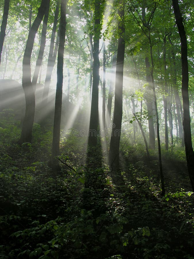 Rays stock photo. Image of living, light, beams, airy, peaceful - 983818