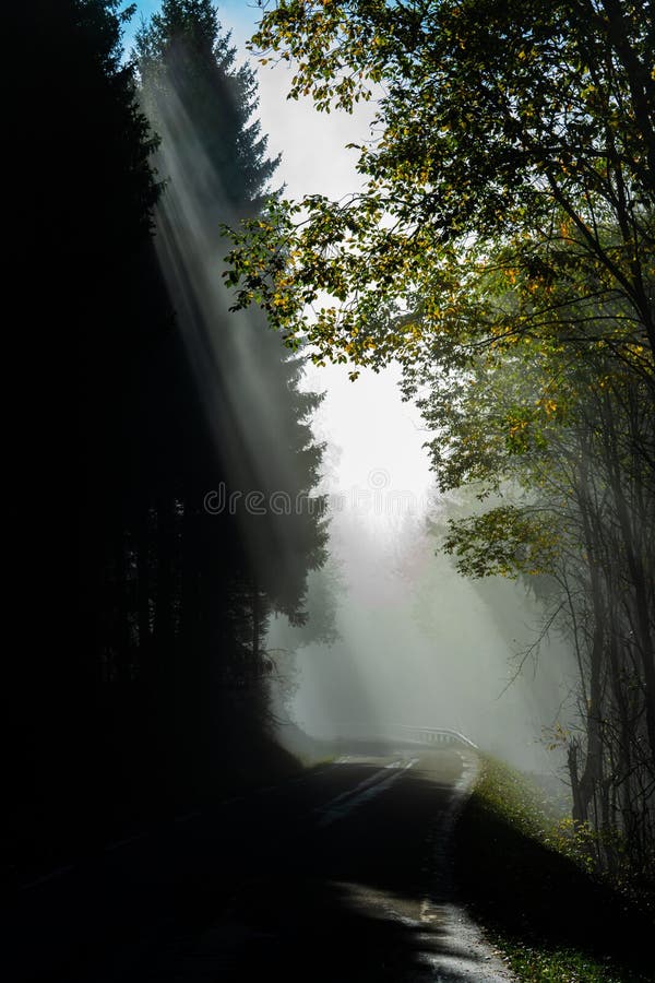 Rays of bright sunlight stock image. Image of autumn - 199399717