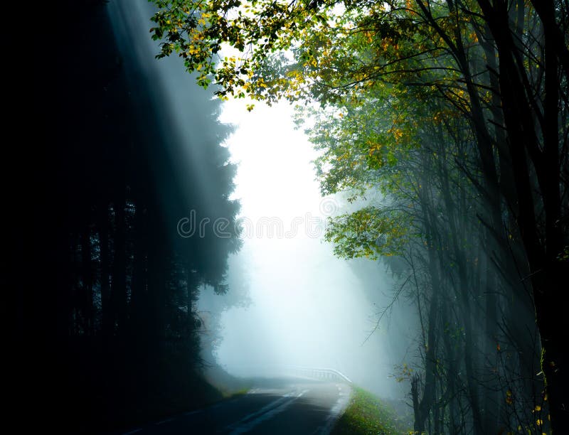 Rays of bright sunlight stock photo. Image of fall, misty - 199400012
