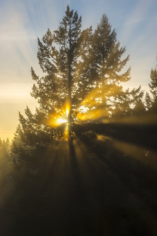 Temple in the Sea, Bali, Indonesia Stock Photo - Image of asian, green ...