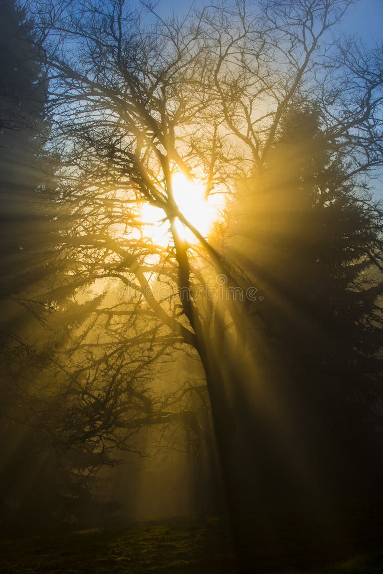 1,153 Bible Spiritual Light Rays Stock Photos - Free & Royalty-Free ...