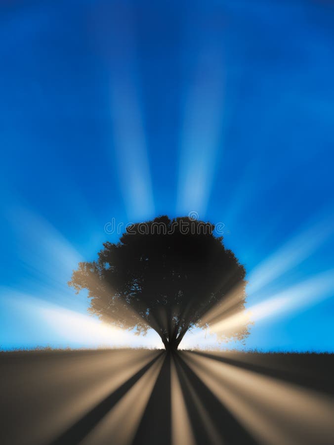 Rays of Light Coming Behind Silhouette of Solitary Tree Stock Image ...