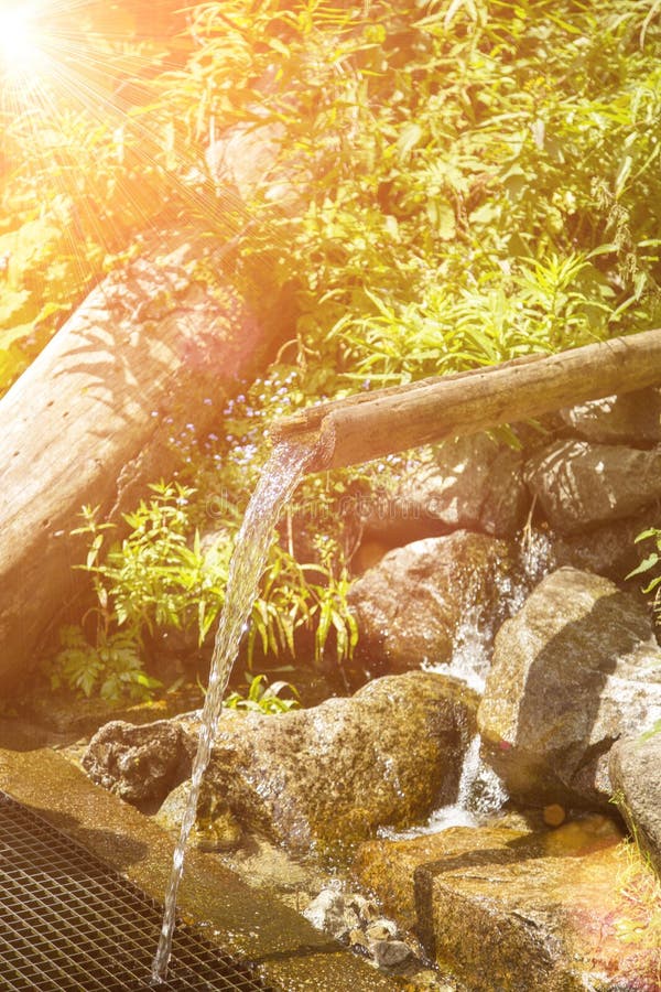 Running clean water stock photo. Image of clear, outdoor - 24832372