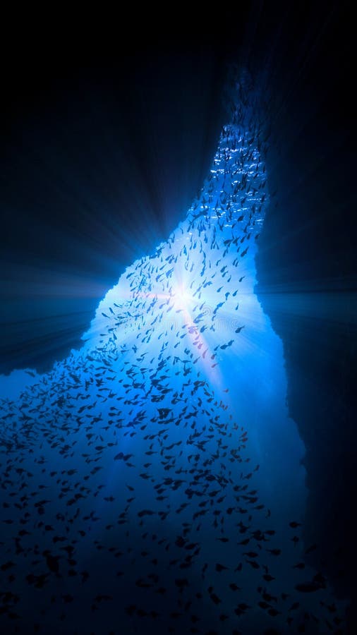 Rays of Light in Ocean Underwater Stock Image - Image of color, blue ...