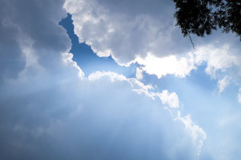 Rays of light shining down stock image. Image of environment - 79846777