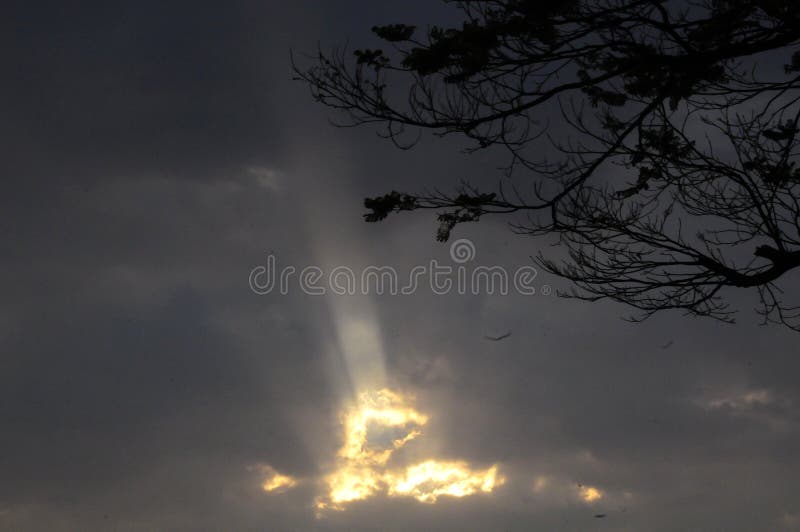 Rays of light at sunset stock image. Image of nature - 154022175