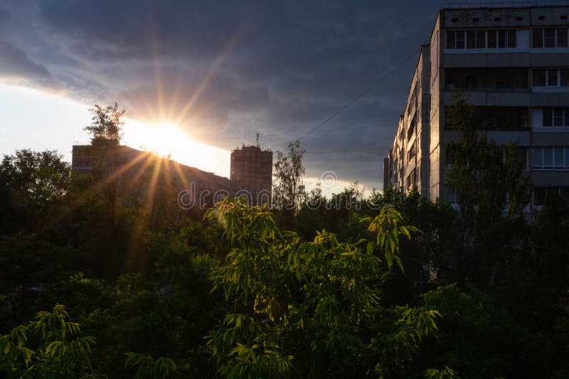 The Rays of the Setting Sun Play on Green Foliage Against the Backdrop ...