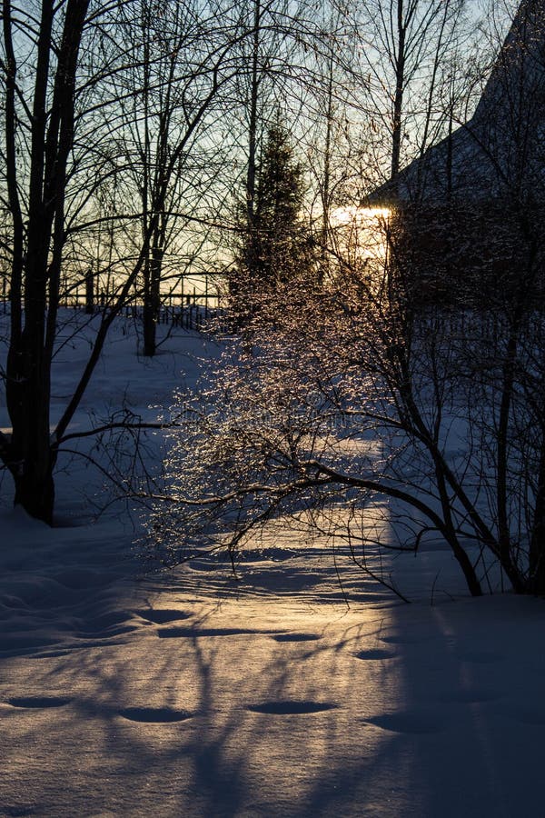 Rays of the Setting Winter Sun Stock Image - Image of nature, lane ...