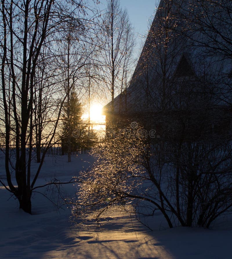 Rays of the Setting Winter Sun Stock Photo - Image of trees, winter ...