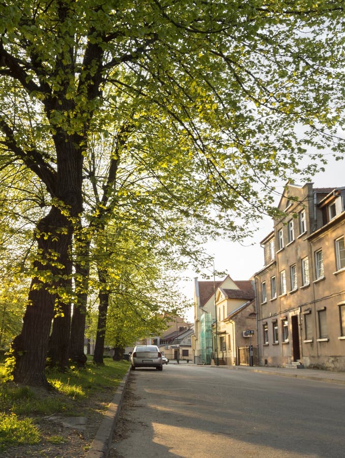 Rays of a Spring Sunset through the Crown of a Green Tree in Klaipeda ...