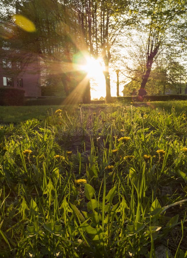 Sunset crown stock image. Image of mountains, black, evening - 5329787