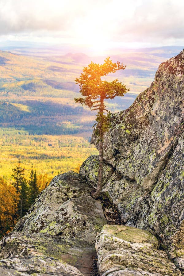 Rocks on Crimson Mountain stock image. Image of glare - 169046023