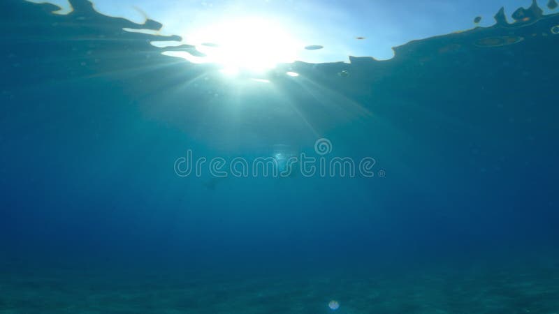 Rays of the Sun Filter into the Ocean Water Stock Footage - Video of ...