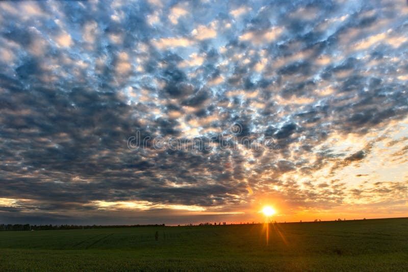 The Rays of the Sun Over the Green Field. Stock Photo - Image of growth ...