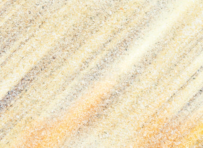 Rays of Sun on Sand Shells, Sand Summer Background, Sun Background ...