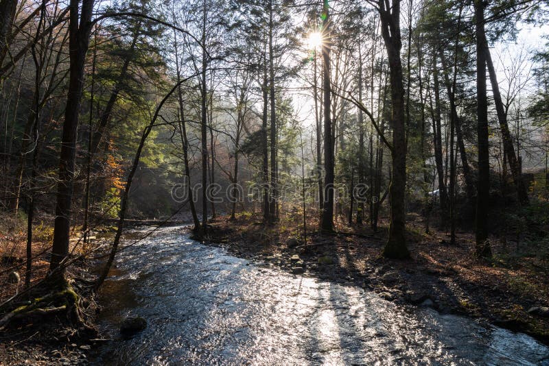 Rays of Sunlight through Fog in a Fall Winter Mountain Landscape ...