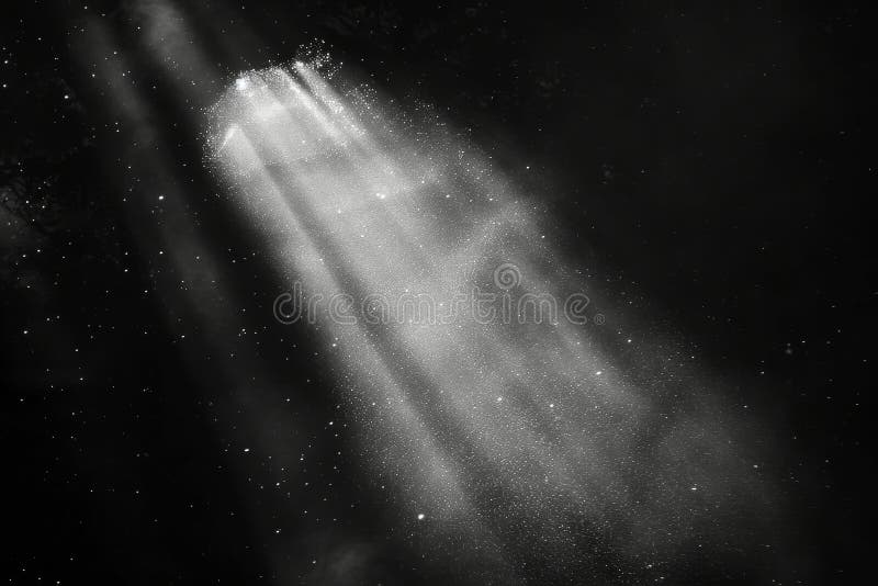 Rays of Sunlight Piercing through the Shadows in a Dark Forest Stock ...