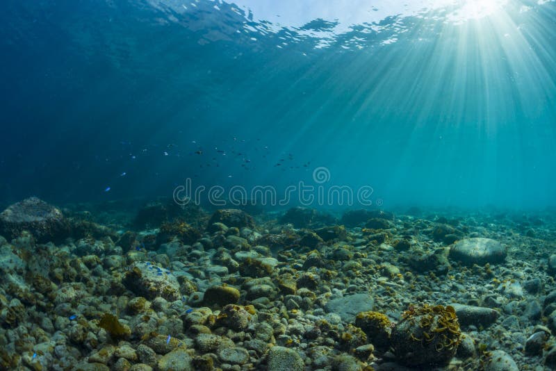 Rays of Sunlight Shining into Sea, Underwater View Stock Photo - Image ...