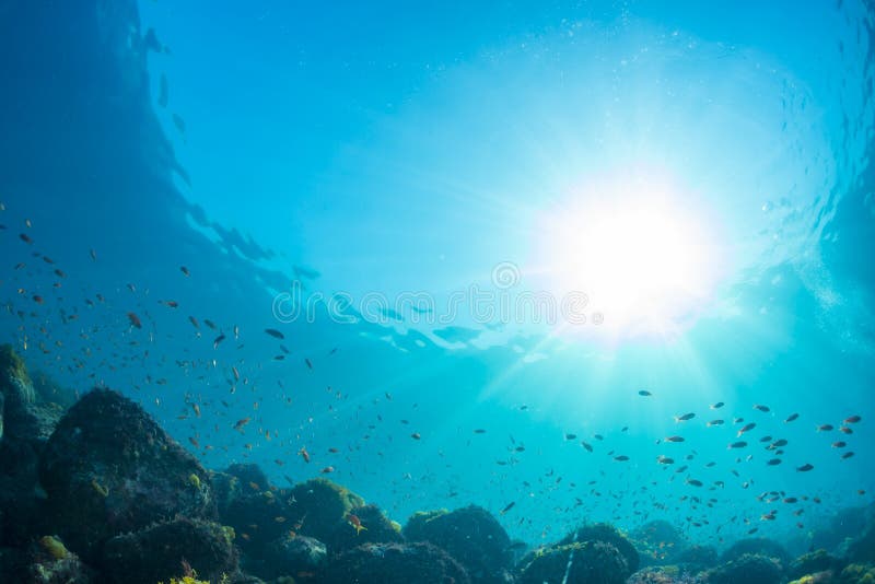 Rays of Sunlight Shining into Sea, Underwater View Stock Photo - Image ...