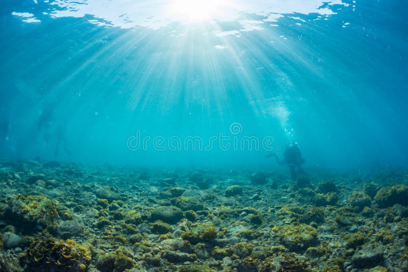 Rays of Sunlight Shining into Sea, Underwater View Stock Photo - Image ...