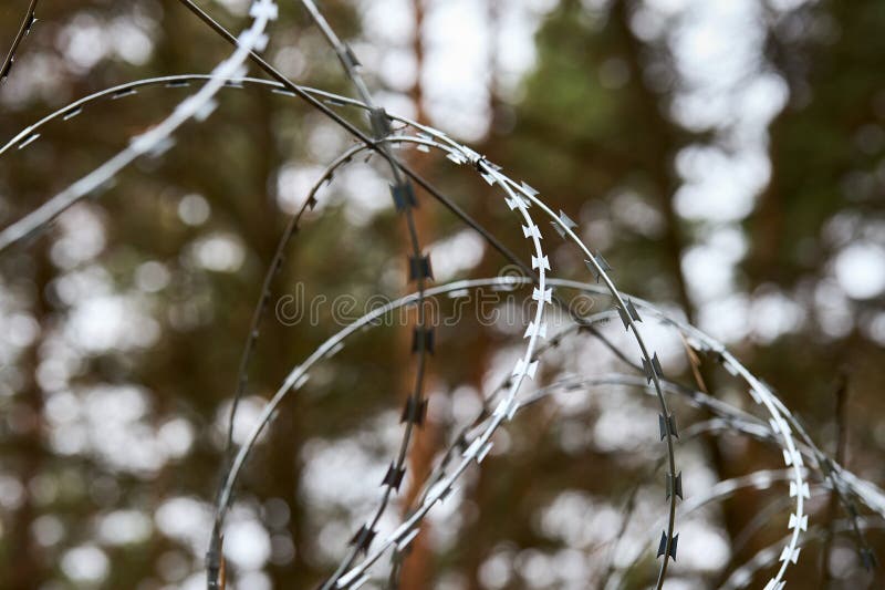Razor Barbed Wire Security Fence. Sharp Round Barbed Wire Over Border ...