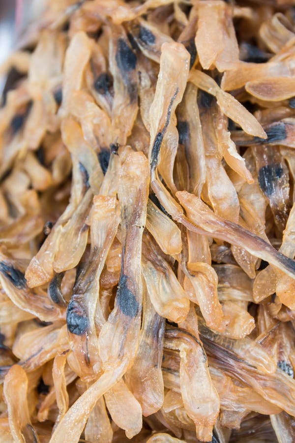 Dried razor clams. stock photo. Image of mollusc, nature - 16298122