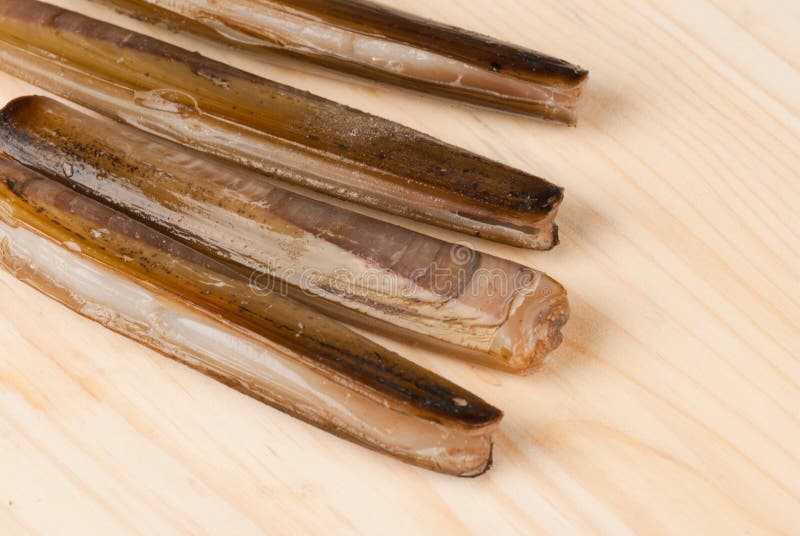 Razor clams stock image. Image of shelled, horizontal - 17535473