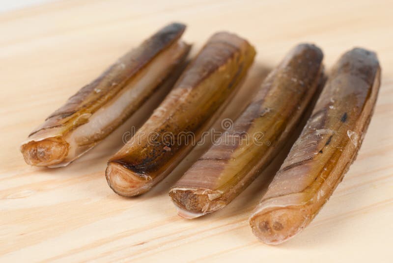 Razor clams stock image. Image of shelled, horizontal - 17535473