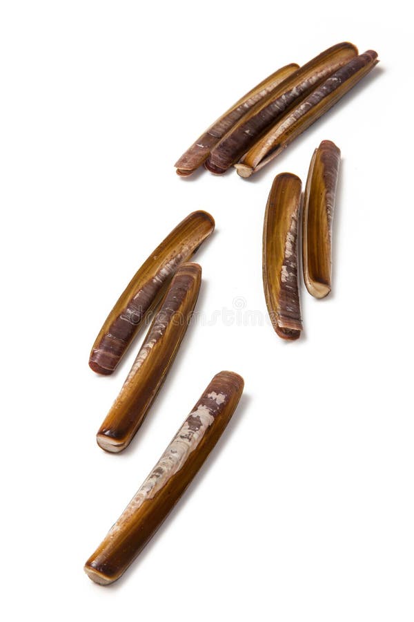 Razor Clams stock image. Image of mollusc, drink, shot - 51781559