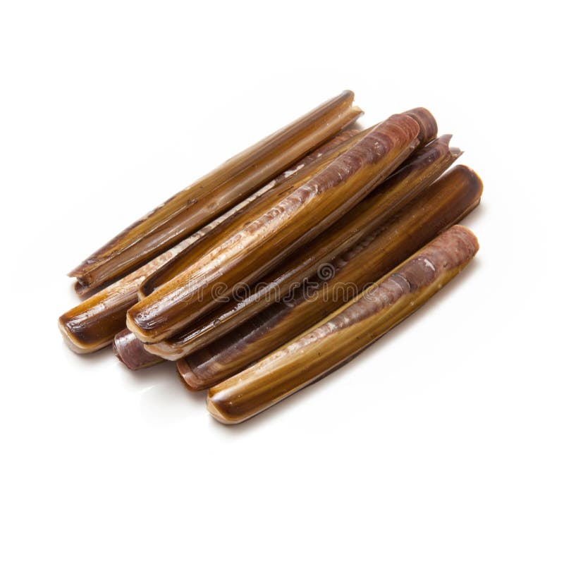 Razor Clams stock image. Image of mollusc, drink, shot - 51781559