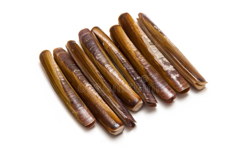 Razor Clams stock image. Image of mollusc, drink, shot - 51781559