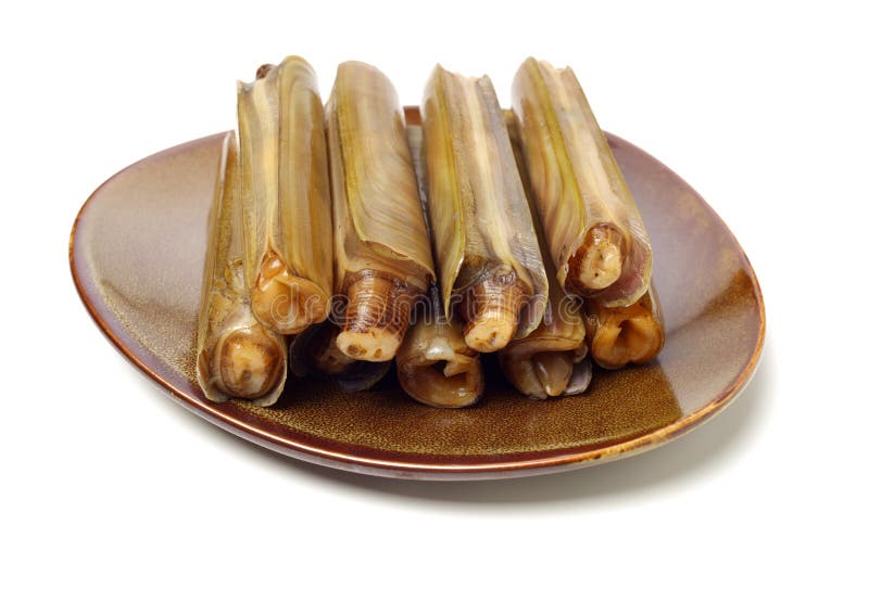 375 Razor Clams White Background Stock Photos - Free & Royalty-Free ...