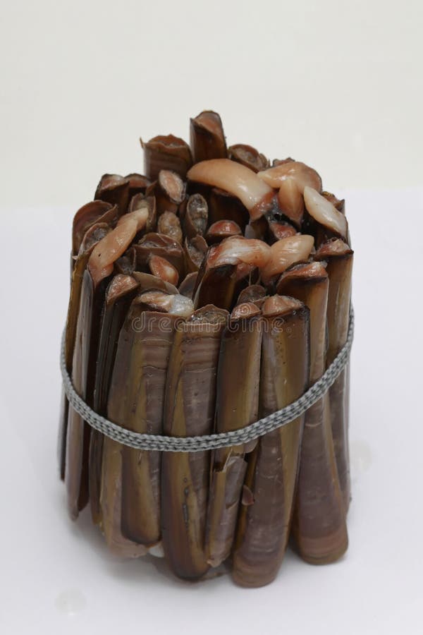 Edible Raw Razor Clams Isolated on White Background. Delicacy Food ...