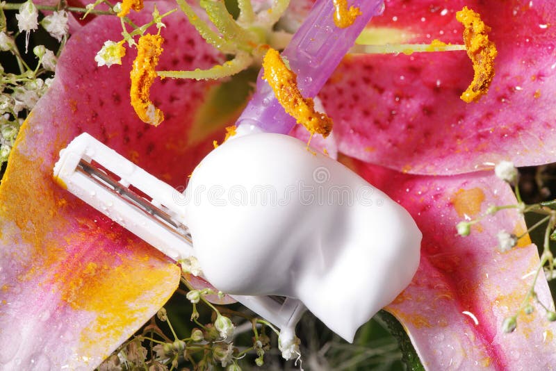 Razor Decorated with Orchid Stock Image - Image of cream, everyday ...