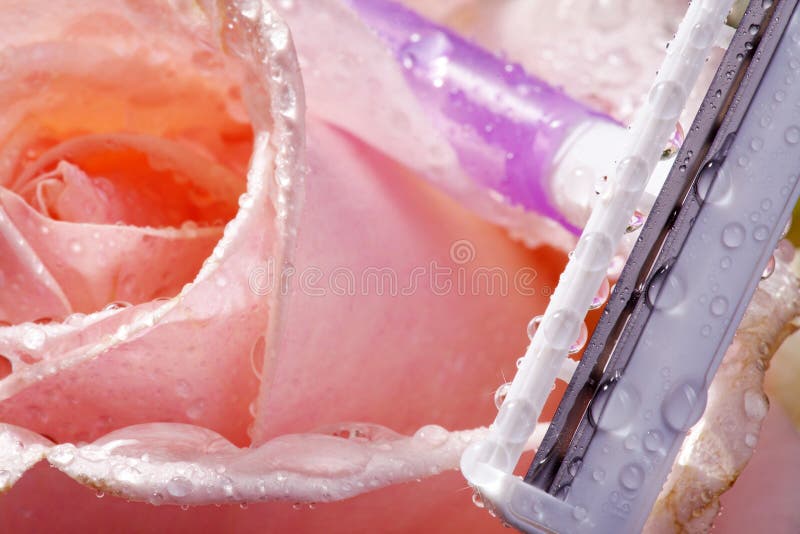 Razor decorated with roses stock image. Image of foam - 40597587
