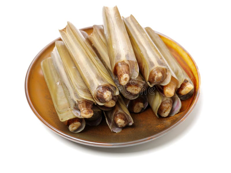 Razor fish stock photo. Image of fish, fishes, fresh - 20097192